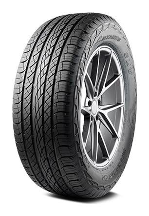 Antares Majoris R1 Tyre: Pneus Online
