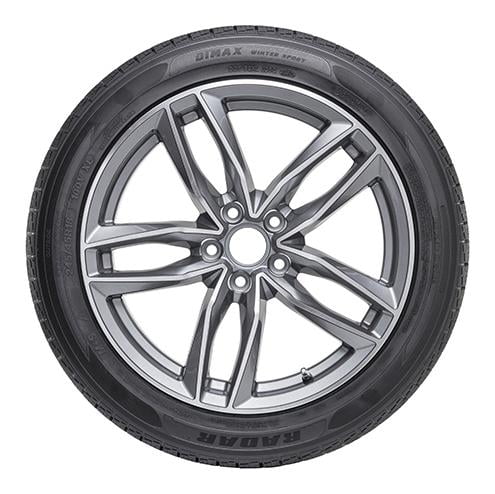 Pneu Radar Dimax Winter Sport : Pneus Online