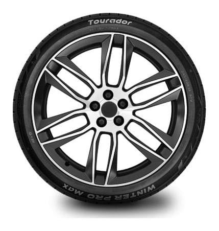 Tourador Winter Pro Max Reifen: Pneus Online