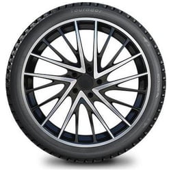 Pneu Tourador Winter Pro TSS1: Pneus Online