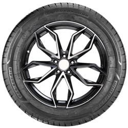Windforce Catchfors UHP 255/50 R20 109 W XL car tyre