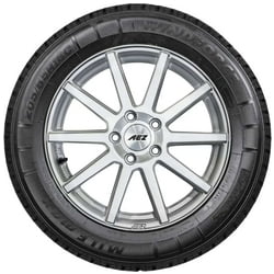 Pneu Windforce Mile Max : Pneus Online